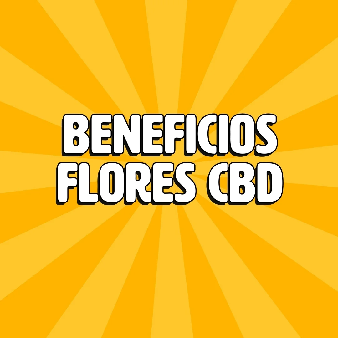 Beneficios Flores CBD. Esto te interesa. | Gorilla Grillz