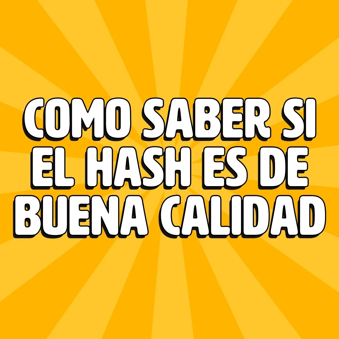 ¿Cómo reconocer un hachís CBD de calidad? Guía completa y práctica ...