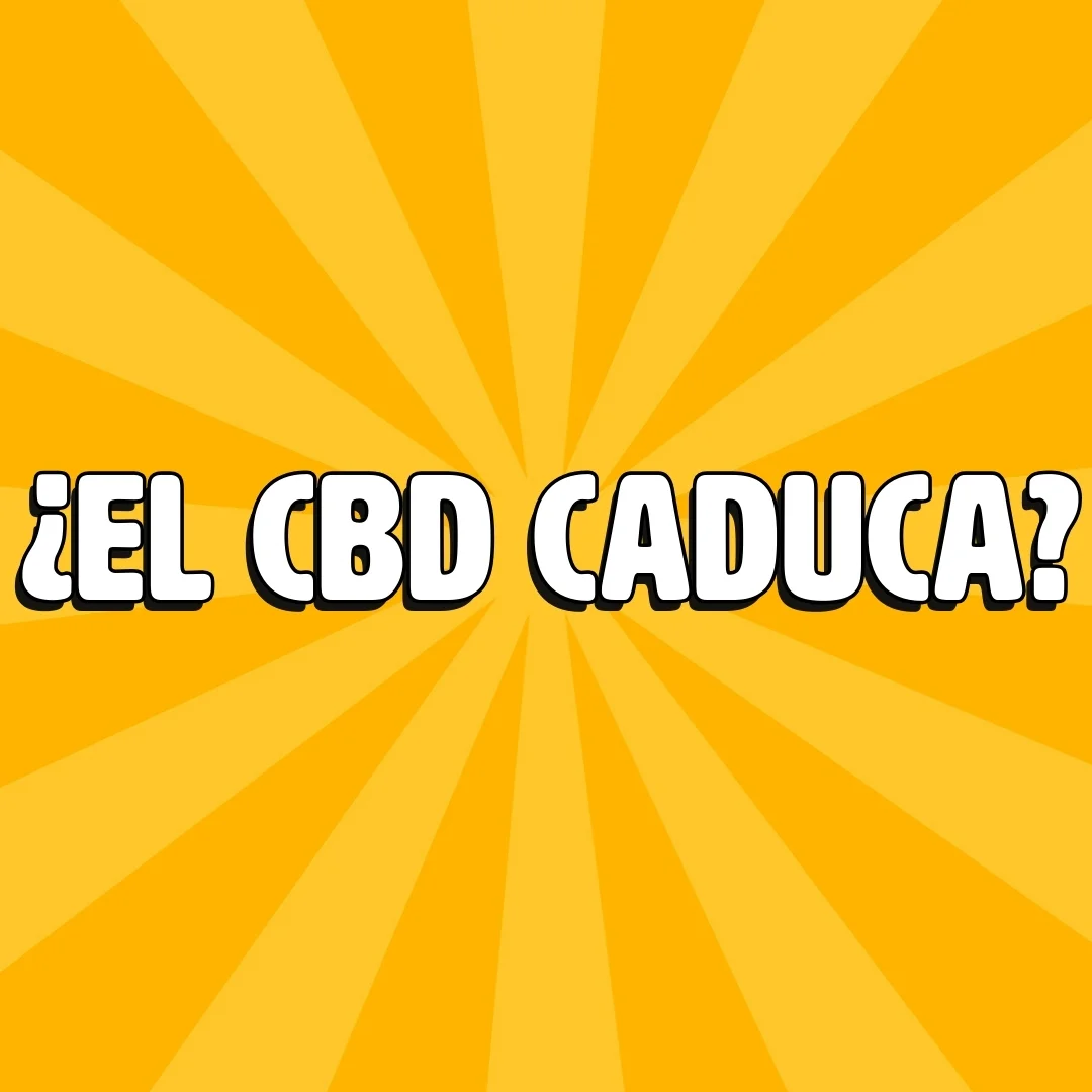 ¿Caduca el aceite de CBD? Una guía completa para mantener tu aceite del ...