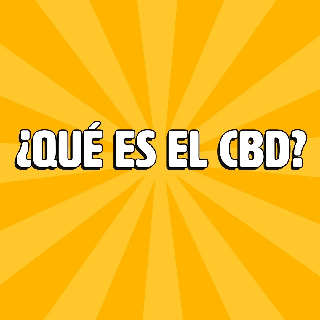 What is CBD and what is it for? - Benefits and how it affects the SCNN
