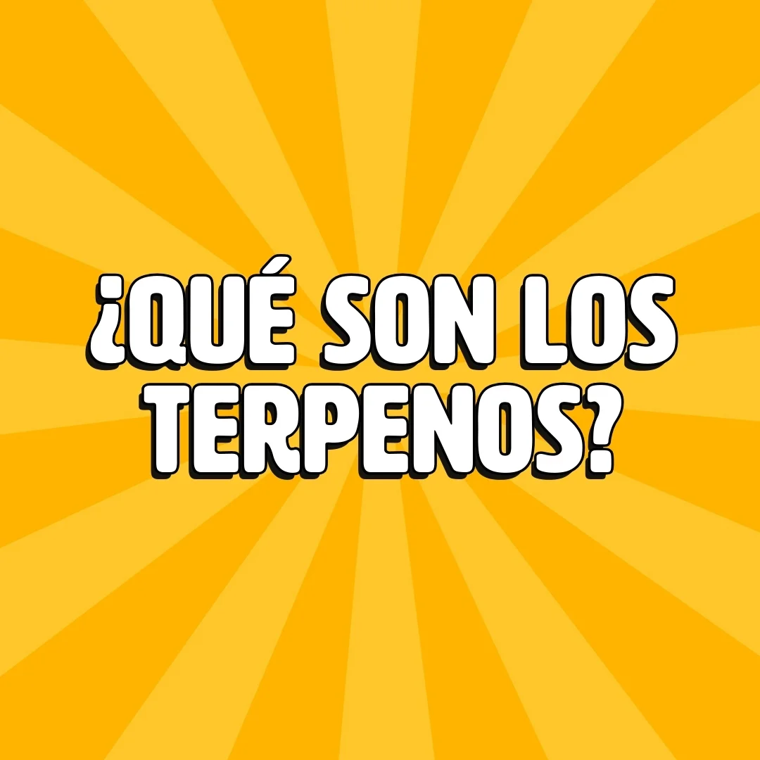¿Qué son los terpenos? - Beneficios, tipos y propiedades.