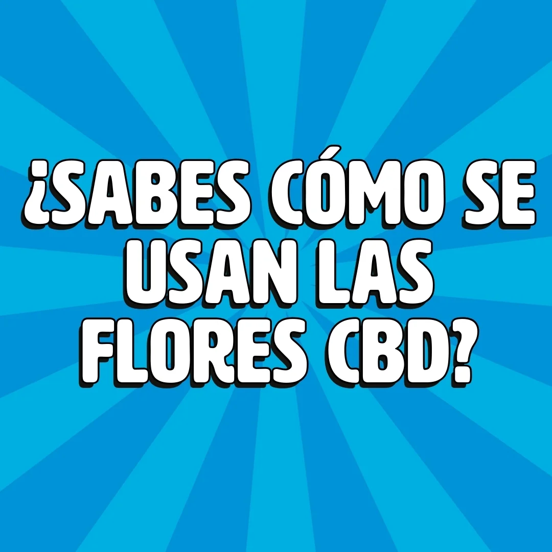 Flores de CBD: descubre las ventajas de su uso según los expertos | Gorilla Grillz