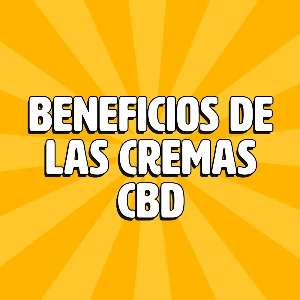 Beneficios de las cremas CBD para el dolor muscular